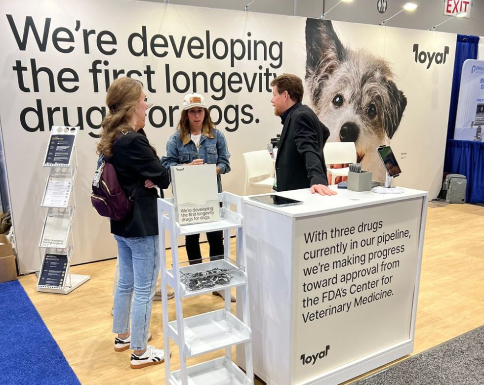 VMX 2025 Summary and Recap | Animal Health News