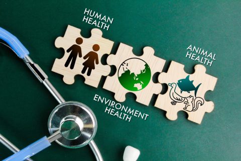 One Health: The Interconnection of Animal and Human Health - Animal ...