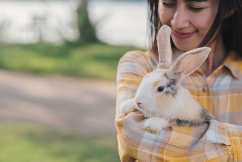 New Grant Supports Research on The Link Between Small Animal Adoption ...