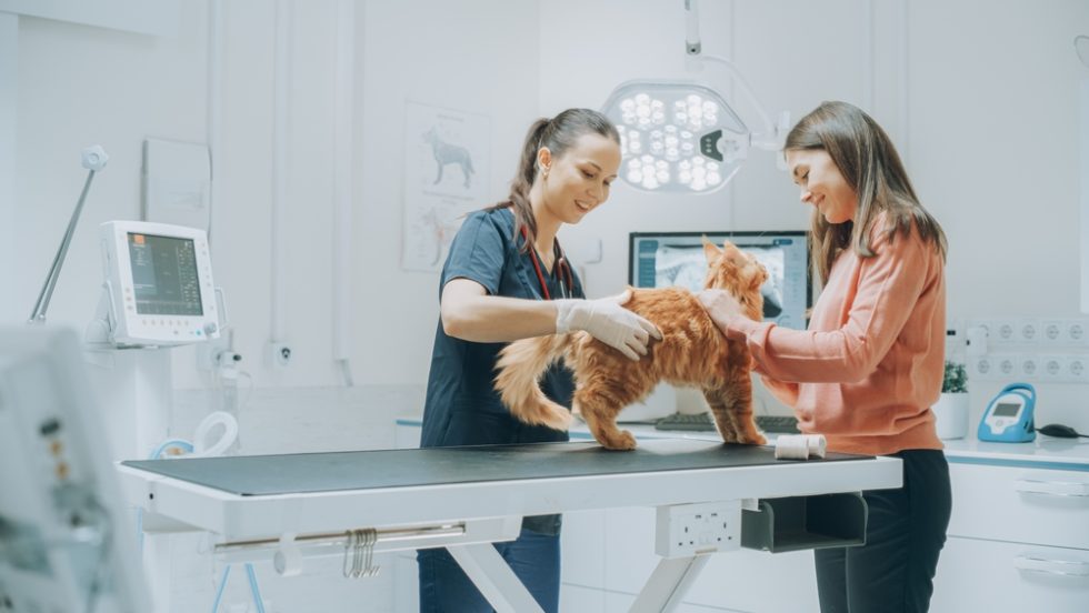 America's Best Animal Hospitals 2025 - Animal Health News and Views