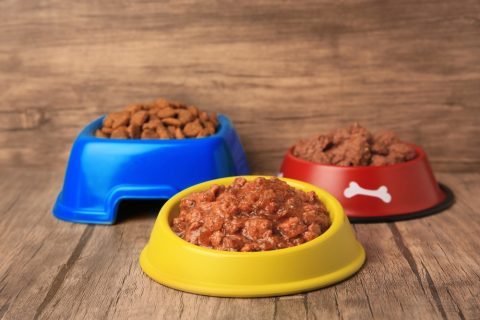 5 Pet Food Trends Leading Innovation Before Human - Animal Health News ...