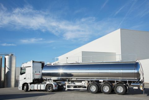 Zisk Dairy Projections for 2026: Where Profits Will be Won (and Lost ...