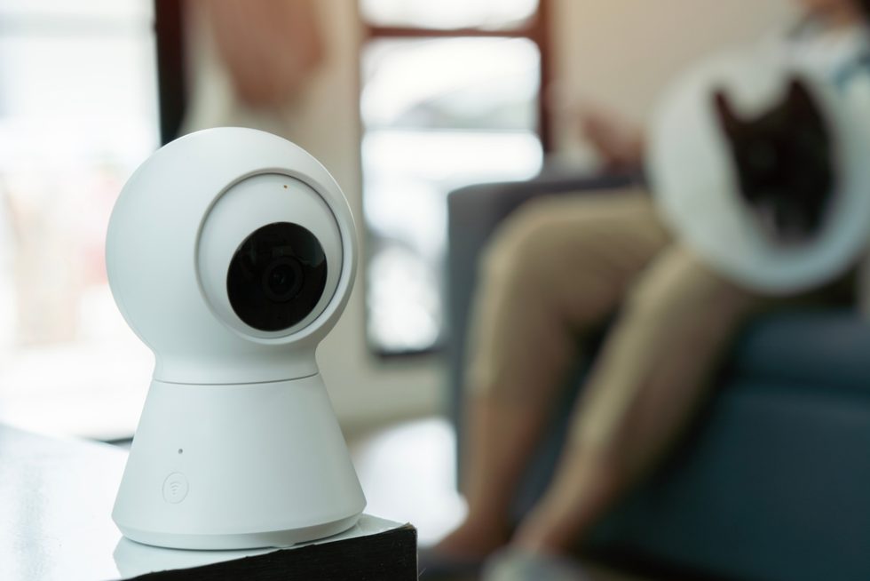 SiiPet Launches The World's First Pet Behavior Analysis Camera - Animal ...