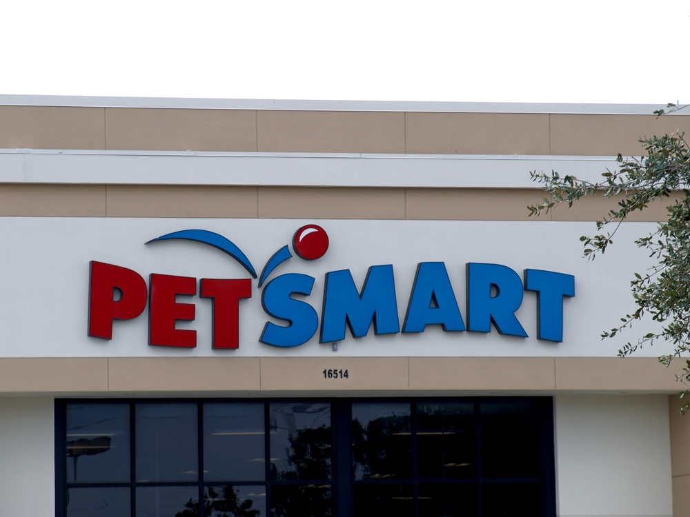 PetSmart Kicks Off Search for Its Next ‘Chief Toy Tester’ - Animal ...