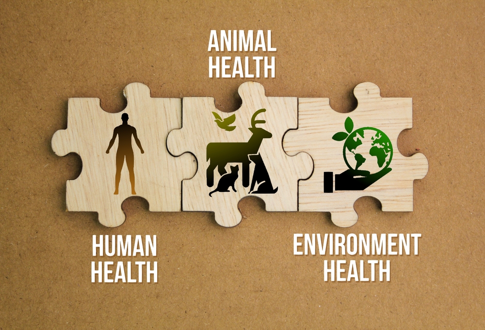 A One Health Approach to Tackling Antimicrobial Resistance in Animals ...