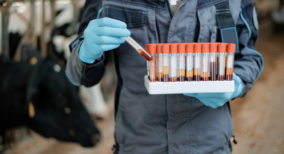 Concerns Over Animal Health and EU Food Security - Animal Health News ...
