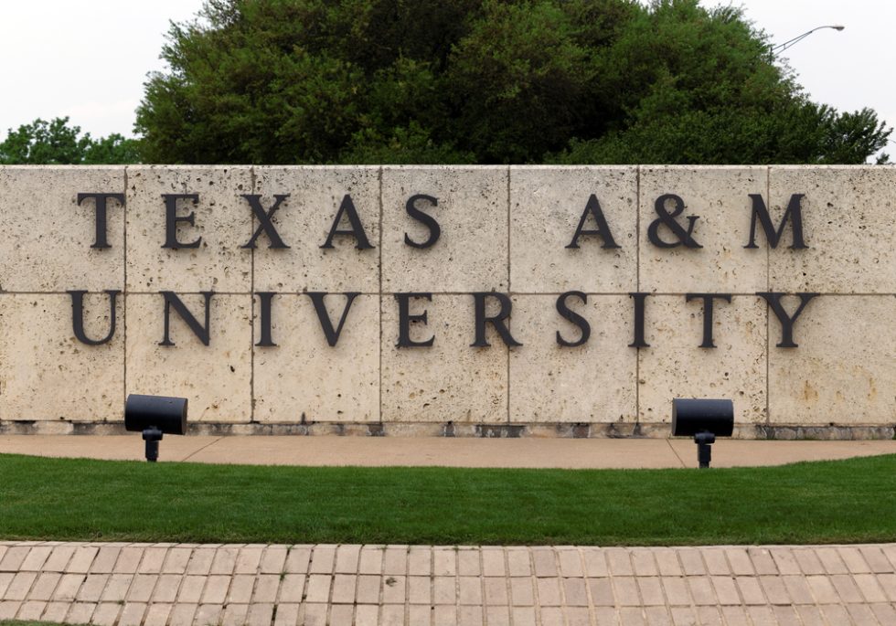 Renamed Center for Insect Biomanufacturing and Innovation Signals New ...