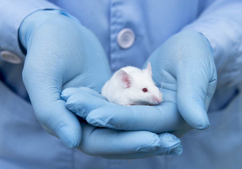 FDA, NIH Officials Look To Curb Animal Testing in Drug Development ...