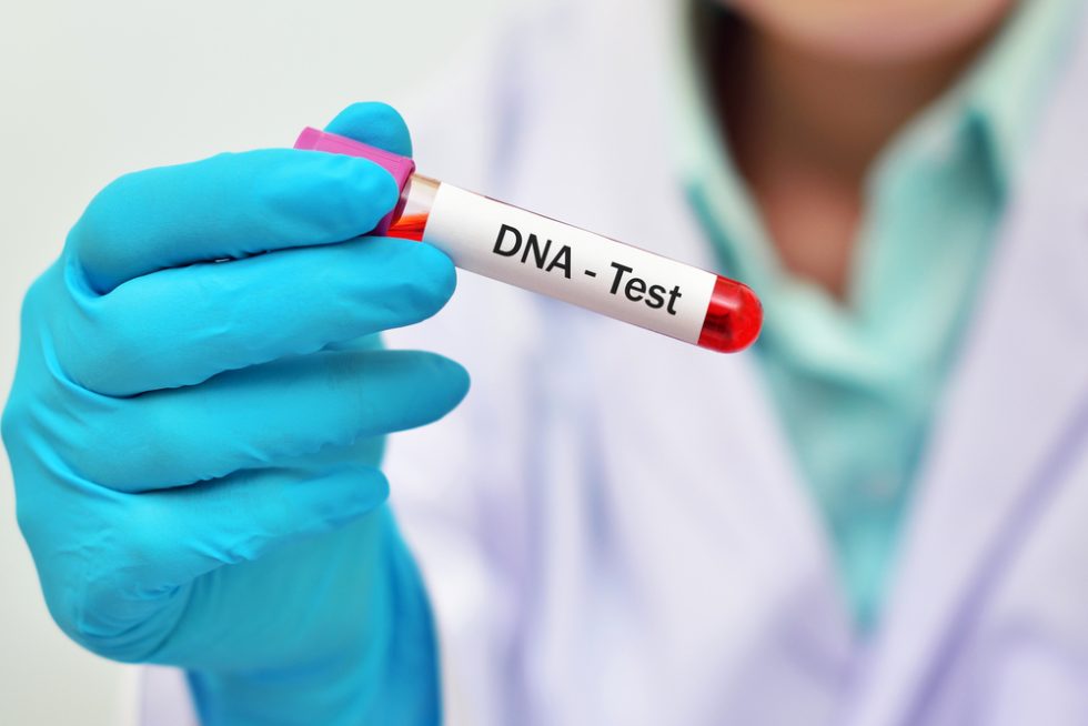 Mystery of Wolf-Type Dogs Solved with DNA test - Animal Health News and ...